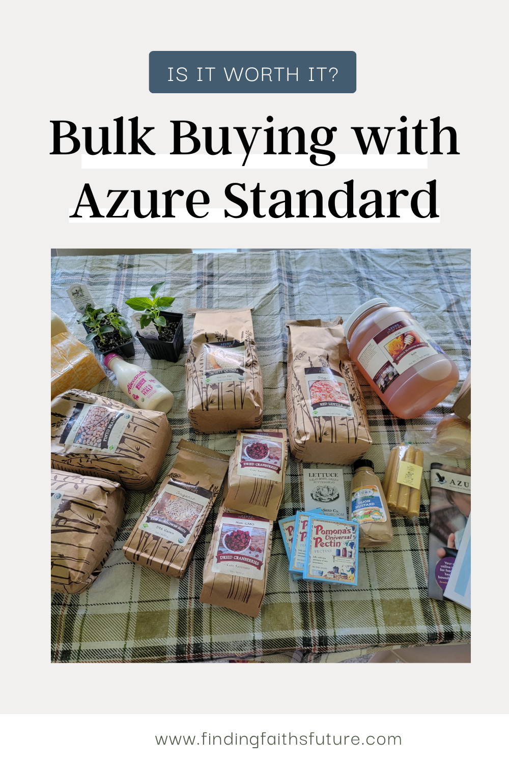 Azure Standard Bulk Buying: 6 Month Review - Finding Faith's Future